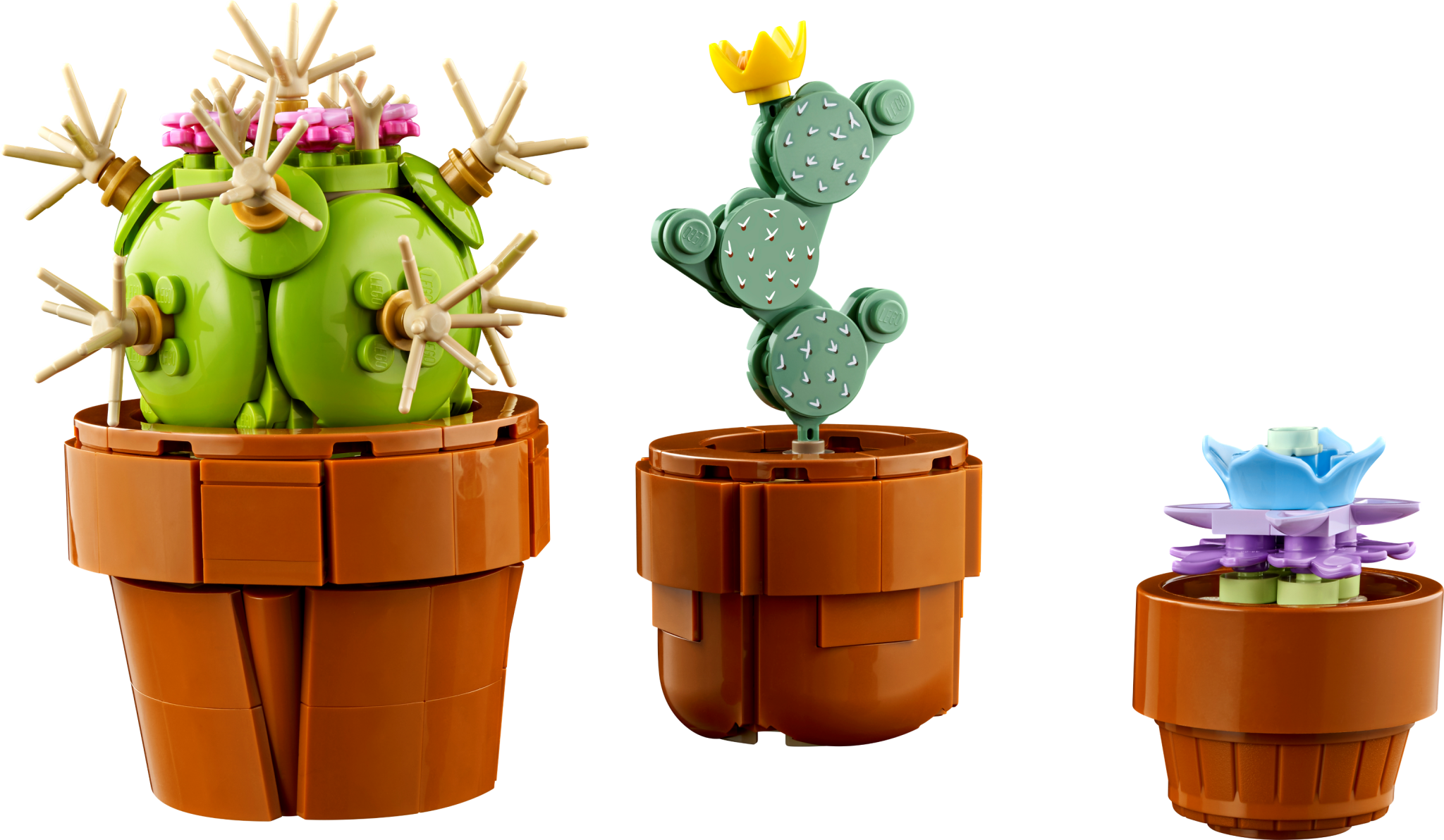 Les rumeurs concernant le premier ensemble LEGO Botanicals 2026 circulent en ligne