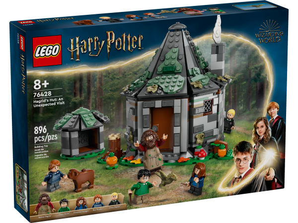Collecting every LEGO Harry Potter portrait a thankless task