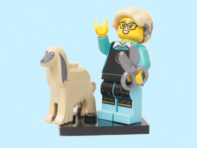 LEGO Minifigures Series 25 buying guide