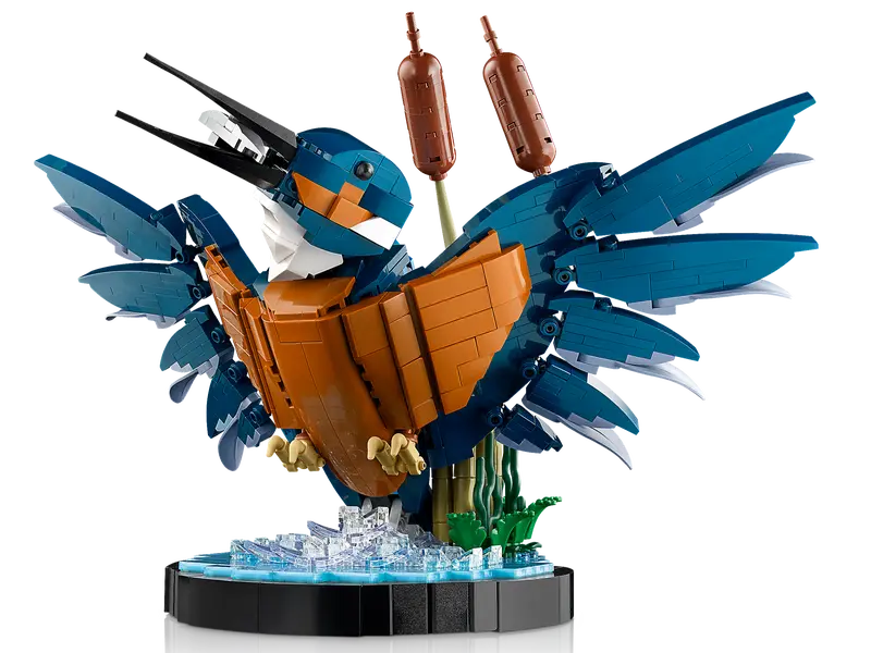 Membandingkan LEGO Icons 10331 Kingfisher dengan versi aslinya