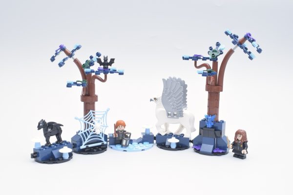 LEGO Harry Potter 76432 Forbidden Forest: Magical Creatures review