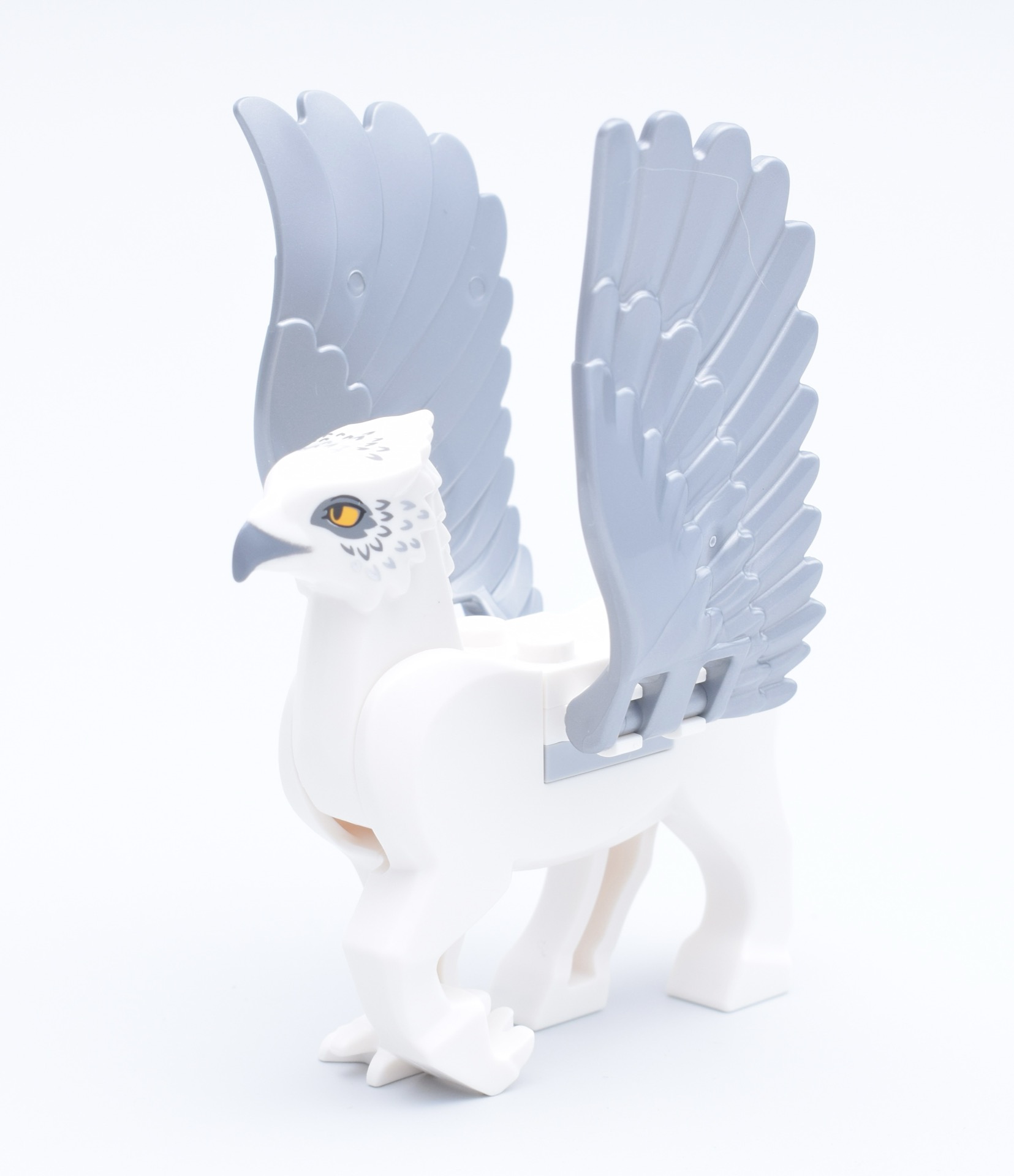 LEGO Harry Potter 76432 Forbidden Forest: Magical Creatures review