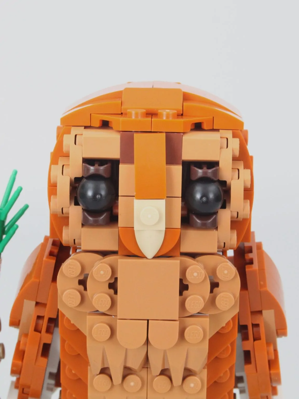 LEGO Creator 3-in-1 31154 Forest Animals: Red Fox review