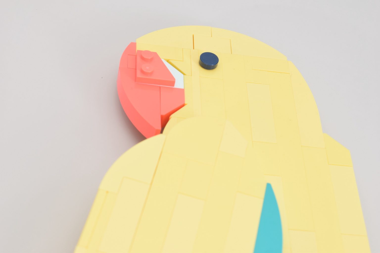 LEGO Art 31211 Macaw Parrots review