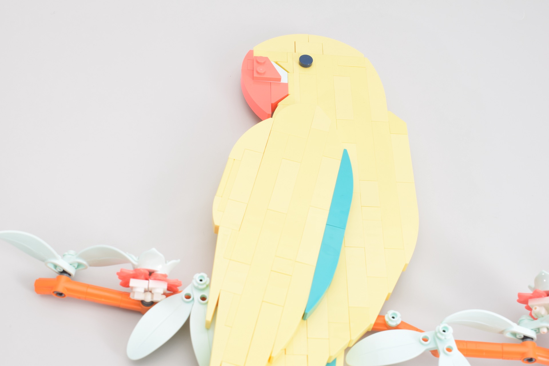 LEGO Art 31211 Macaw Parrots review