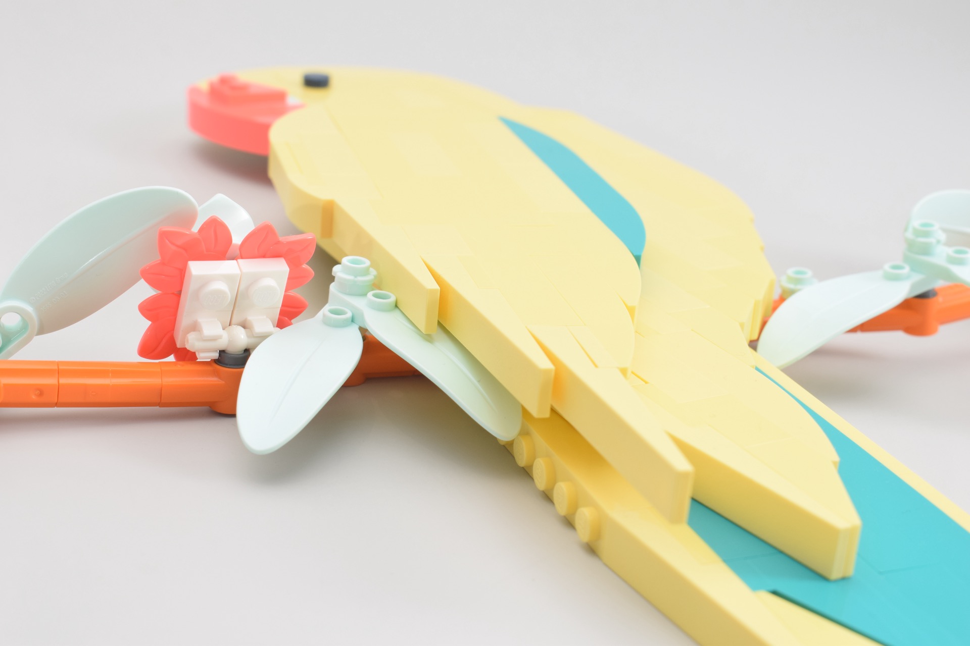 LEGO Art 31211 Macaw Parrots review