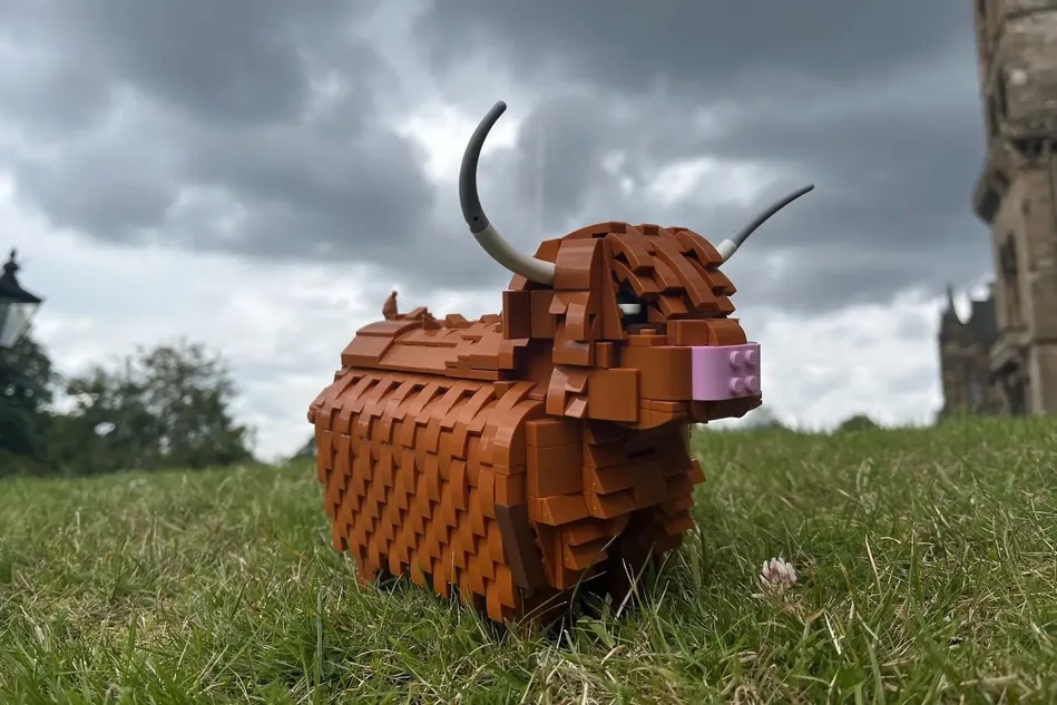 On yonder LEGO Ideas, there stood a Highland Coo