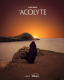 First Star Wars: The Acolyte trailer revealed