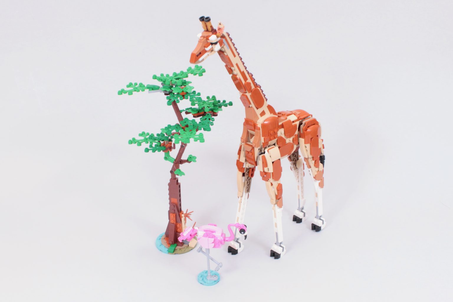 LEGO Creator 3-in-1 31150 Wild Safari Animals review