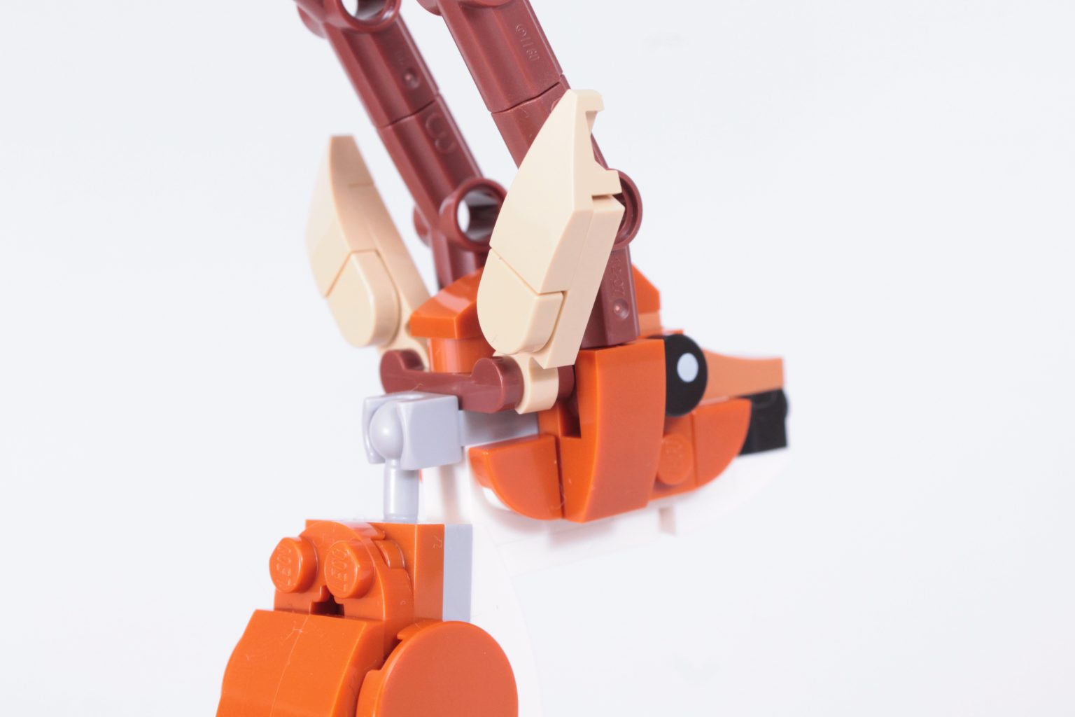 LEGO Creator 3-in-1 31150 Wild Safari Animals review