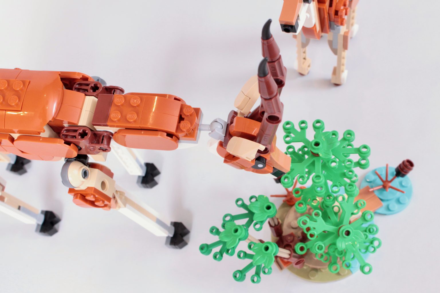LEGO Creator 3-in-1 31150 Wild Safari Animals review