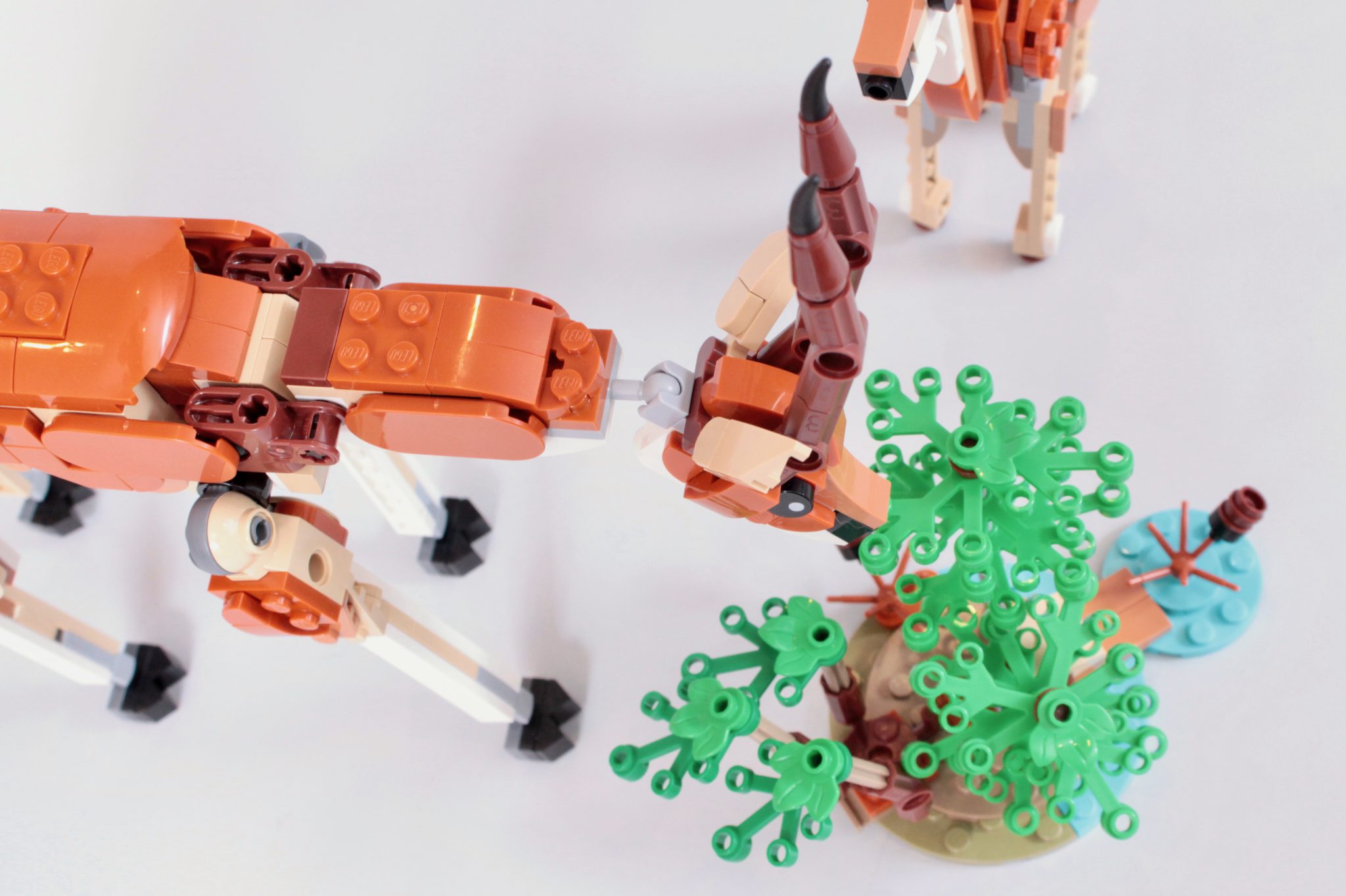 LEGO Creator 3-in-1 31150 Wild Safari Animals review