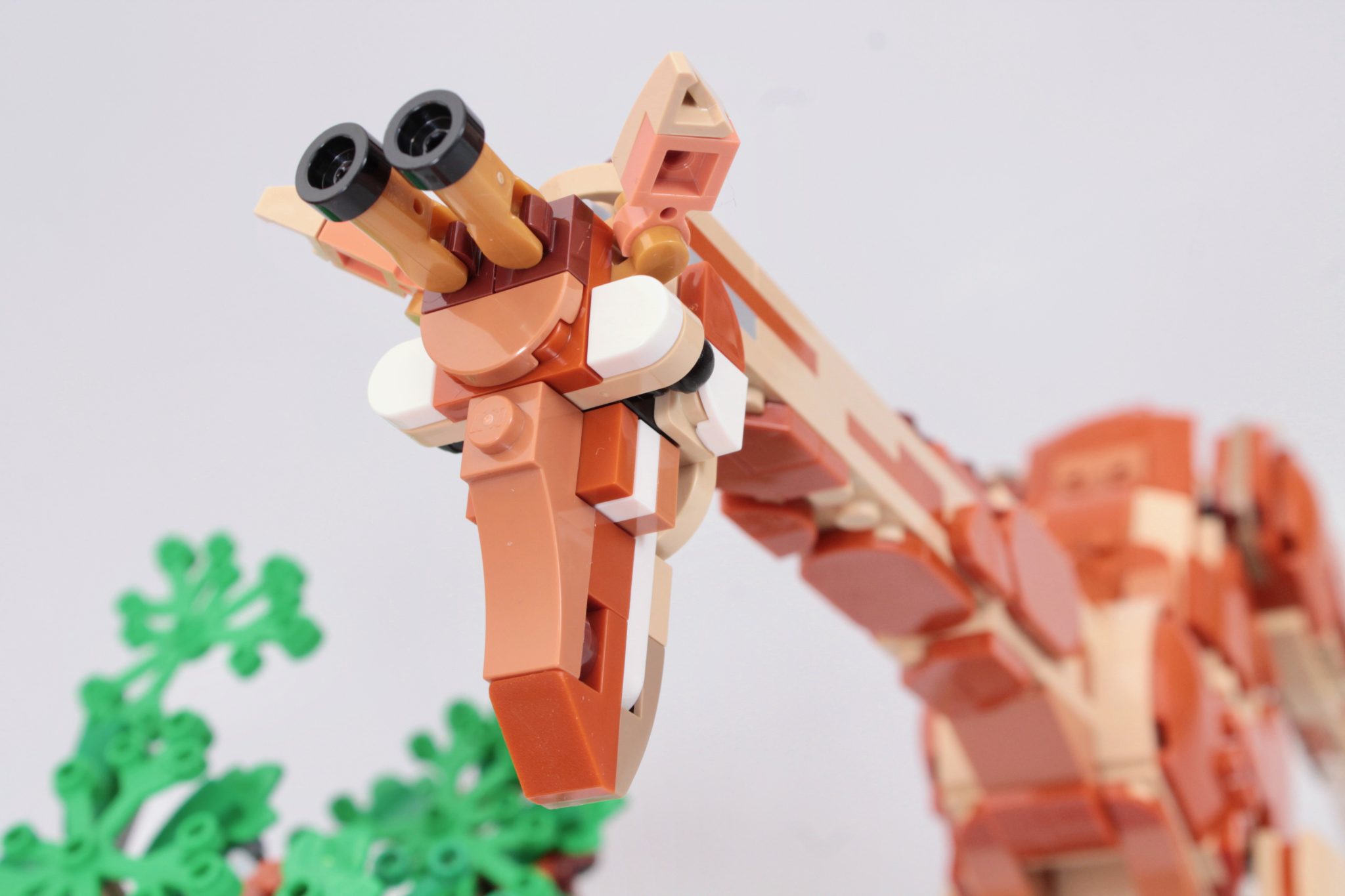 LEGO Creator 3-in-1 31150 Wild Safari Animals review