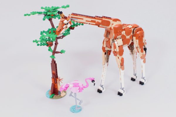 LEGO Creator 3-in-1 31150 Wild Safari Animals review