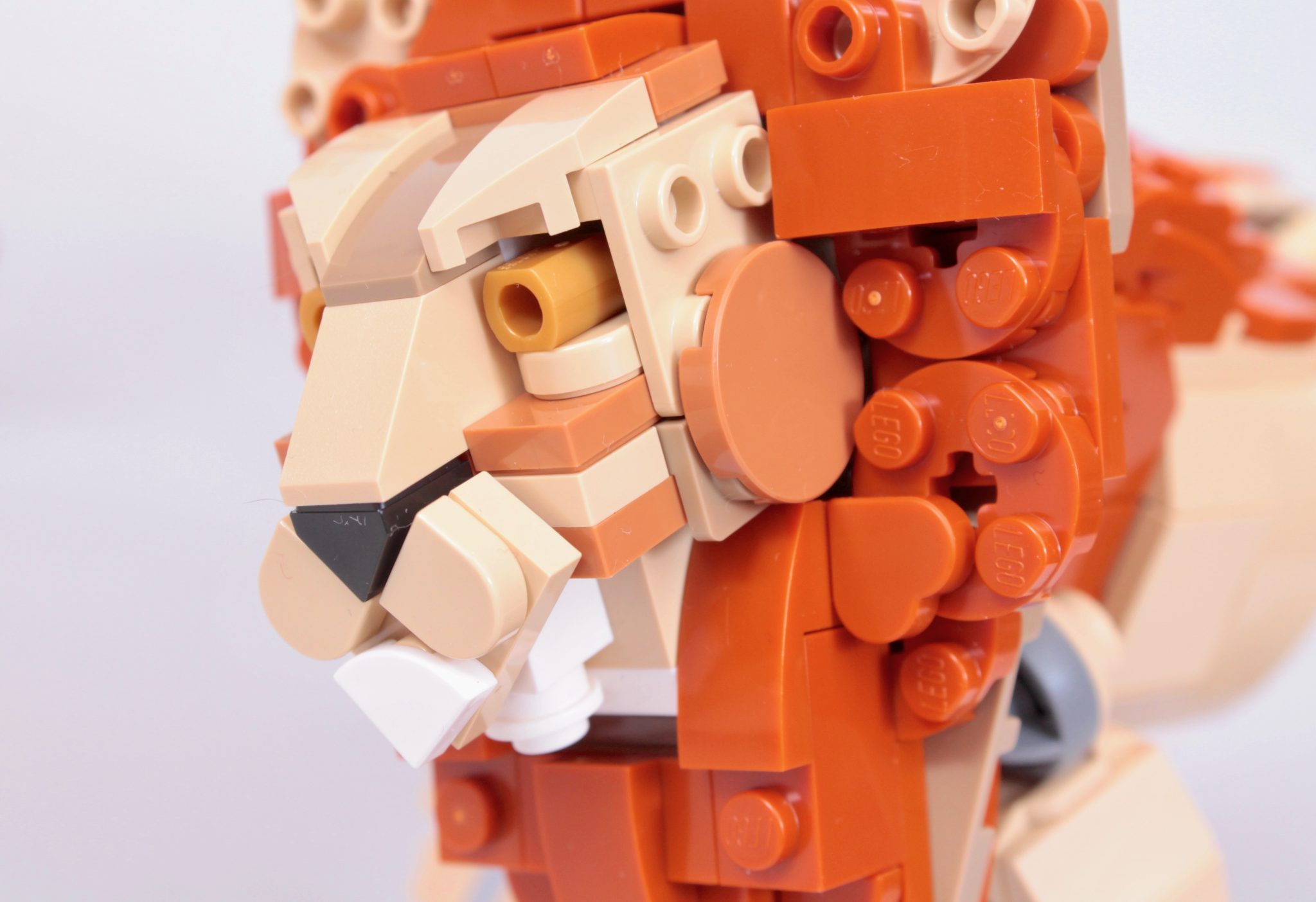 LEGO Creator 3-in-1 31150 Wild Safari Animals review