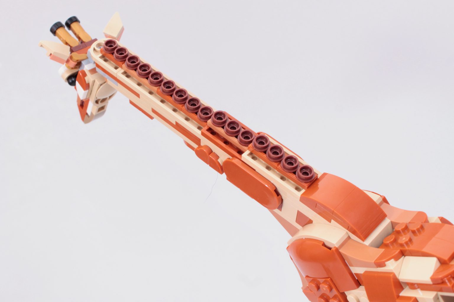 LEGO Creator 3-in-1 31150 Wild Safari Animals review