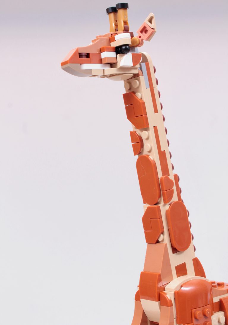 LEGO Creator 3-in-1 31150 Wild Safari Animals review