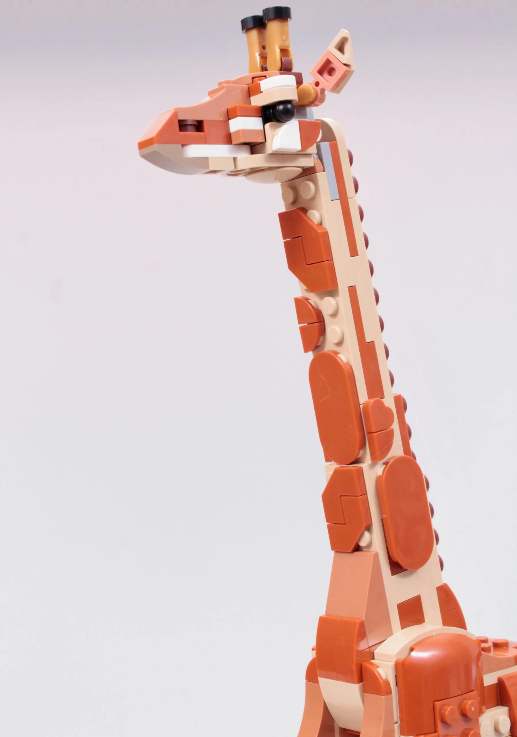 LEGO Creator 3-in-1 31150 Wild Safari Animals review