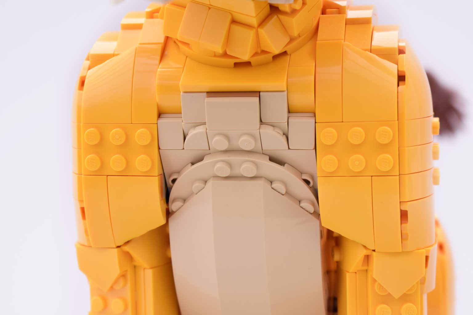 LEGO Disney 43247 Young Simba the Lion King review