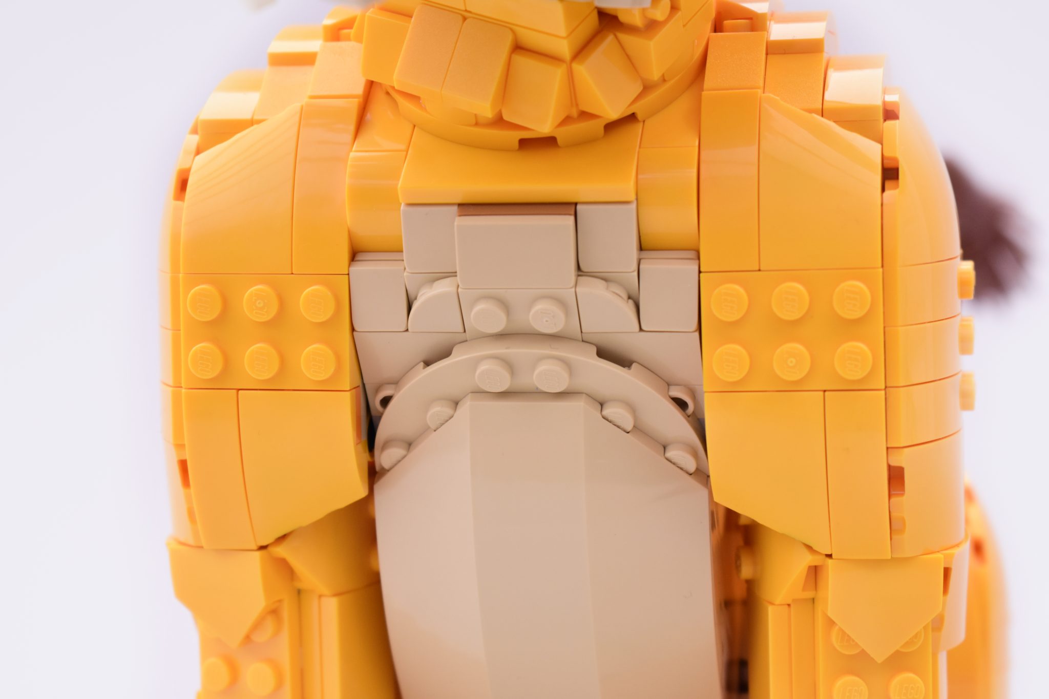 LEGO Disney 43247 Young Simba the Lion King review