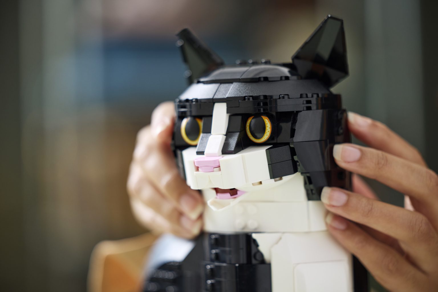 LEGO Ideas reveals reasons for 21349 Tuxedo Cat colour swap