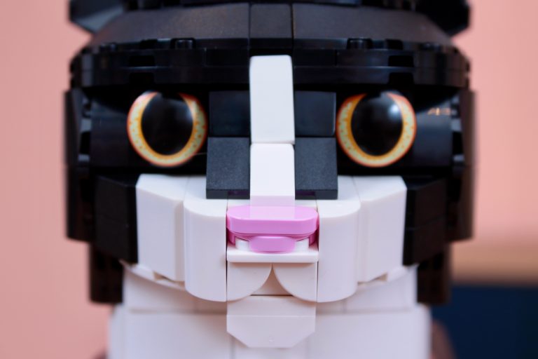 LEGO Ideas 21349 Tuxedo Cat review – the purr-fect set?