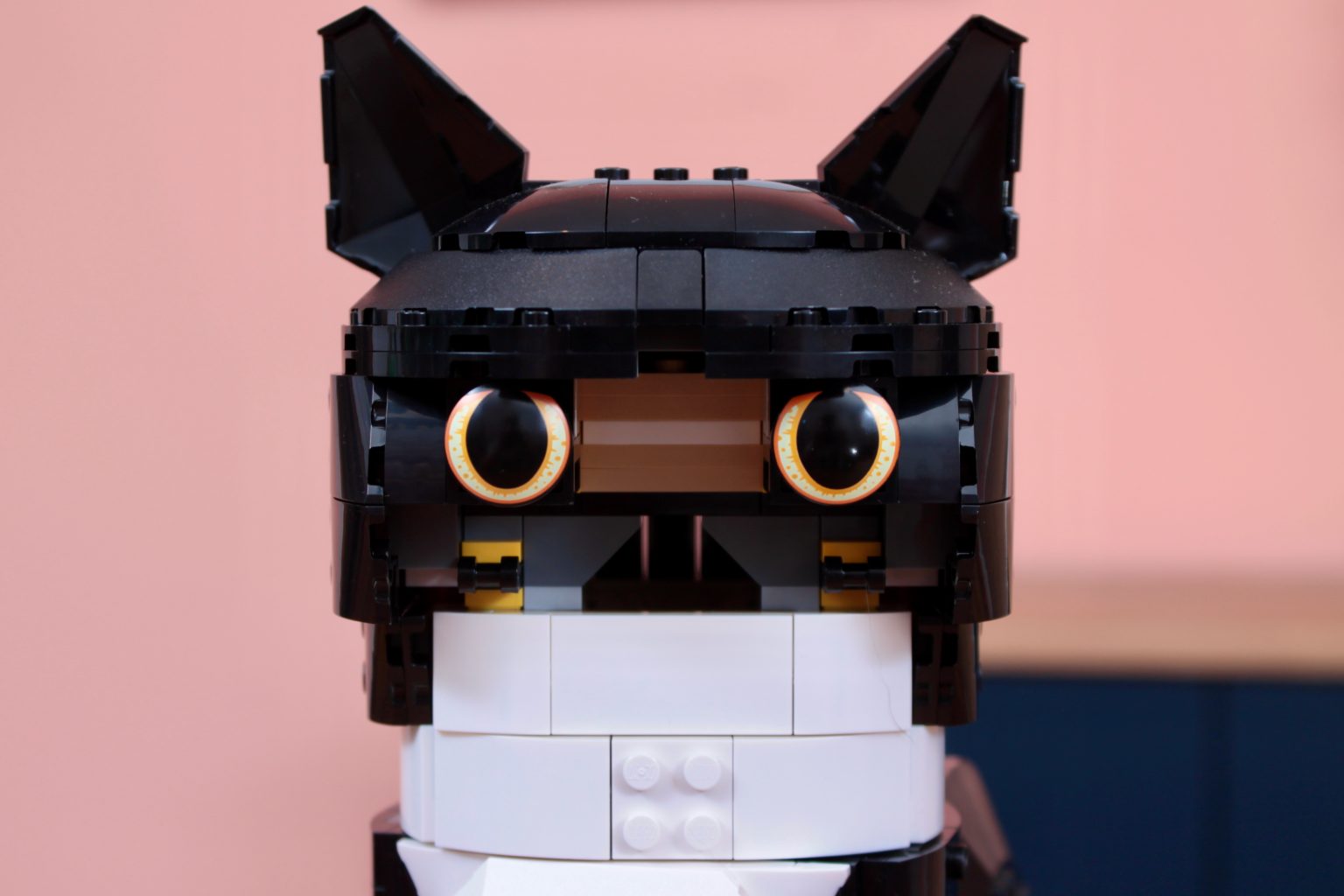 LEGO Ideas 21349 Tuxedo Cat review – the purr-fect set?