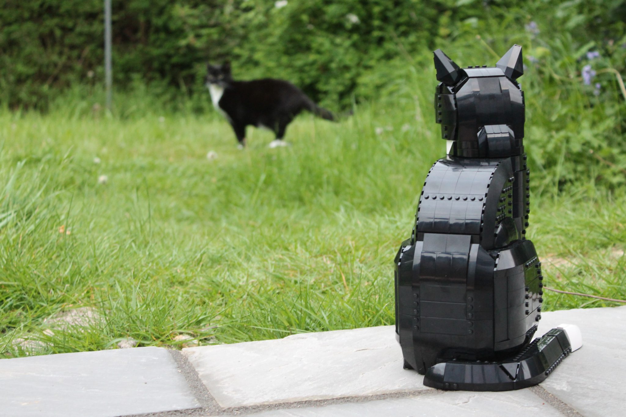 LEGO Ideas 21349 Tuxedo Cat review – the purr-fect set?