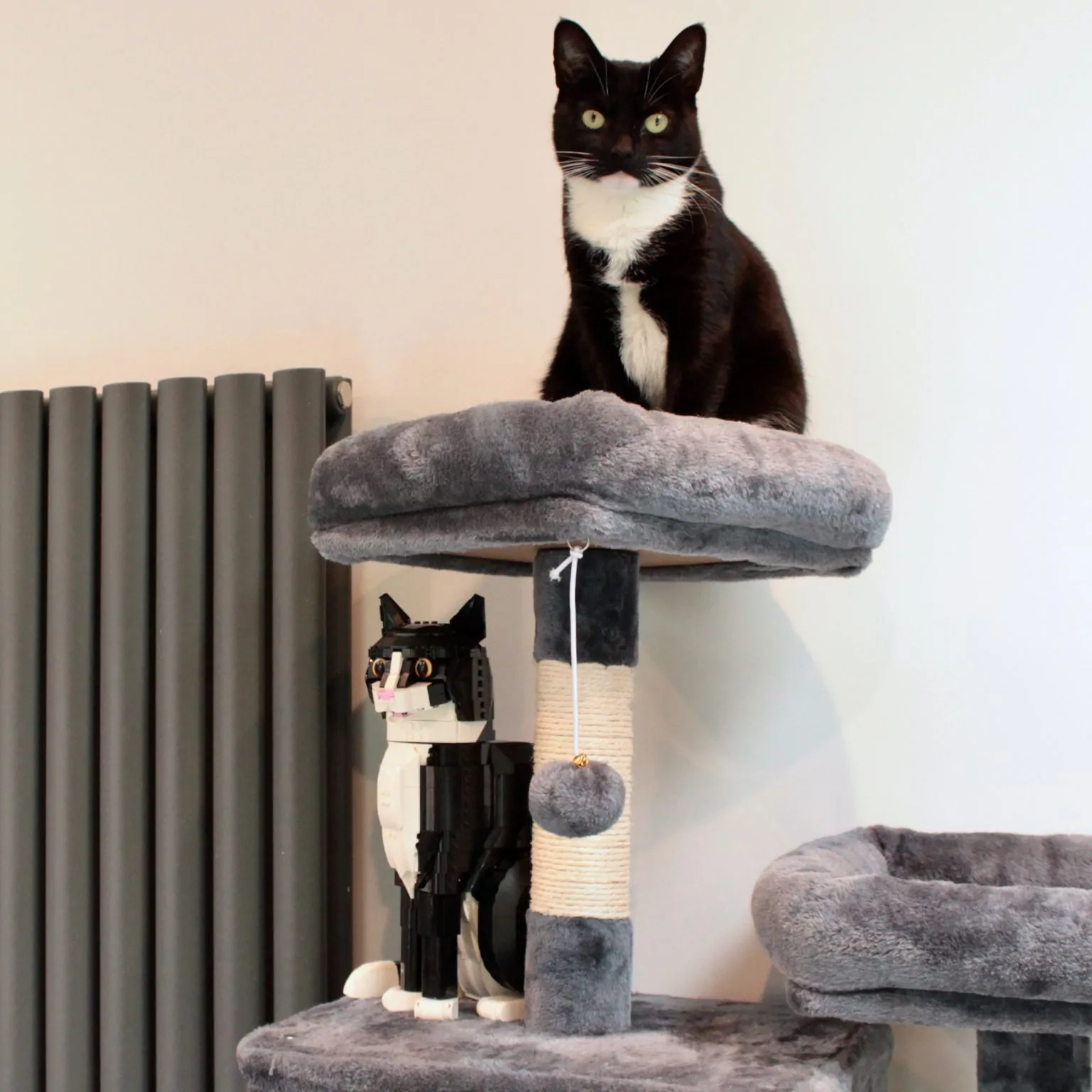 LEGO Ideas 21349 Tuxedo Cat review – the purr-fect set?