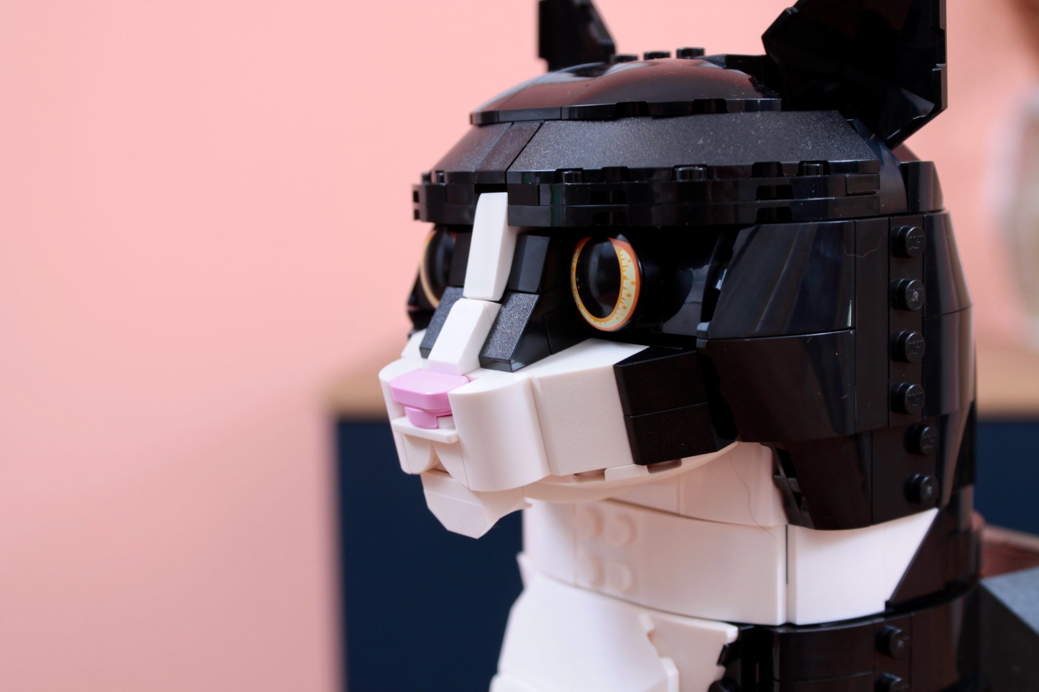 LEGO Ideas 21349 Tuxedo Cat review – the purr-fect set?