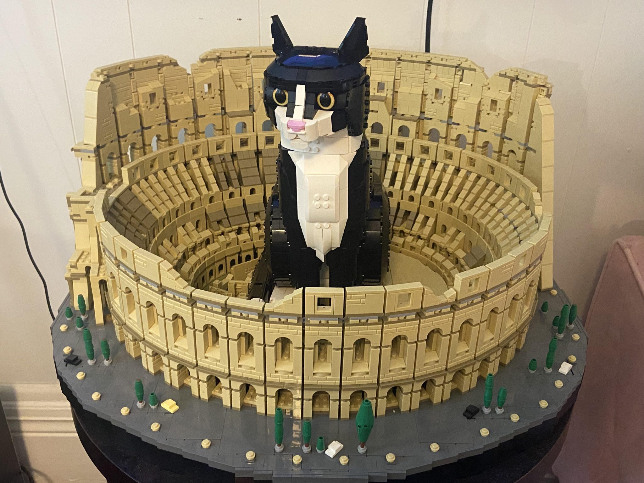 The perfect display for LEGO Ideas 21349 Tuxedo Cat is simple but expensive