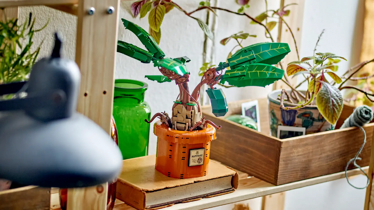 LEGO Harry Potter 2026 rumours: Dobby, Hogwarts and more