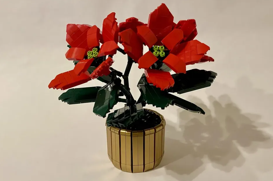 LEGO Botanical Collection Christmas set and more rumoured
