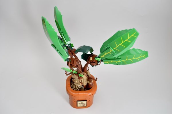 LEGO Harry Potter 76433 Mandrake review, verdict and gallery