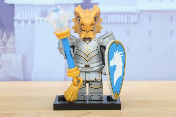 LEGO D&D secrets: Barbarian Dwarf and Dragonborn Paladin