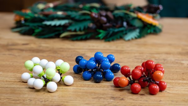 LEGO Botanical Collection 10340 Wreath review