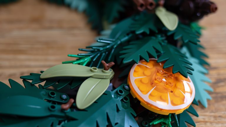 LEGO Botanical Collection 10340 Wreath review