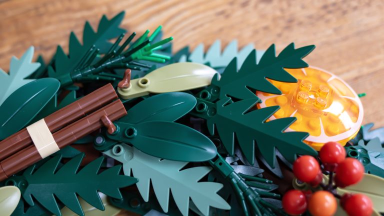 LEGO Botanical Collection 10340 Wreath review