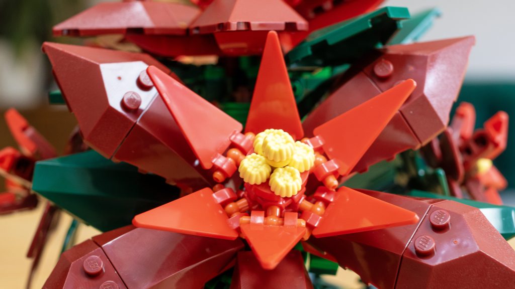 LEGO Botanical Collection 10370 Poinsettia review