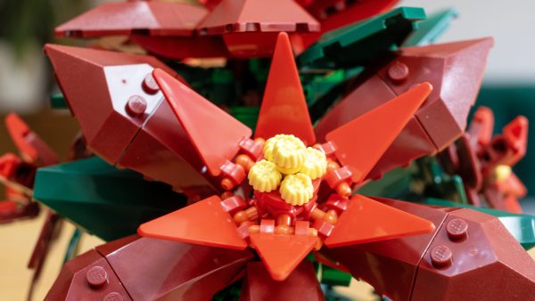 LEGO Botanical Collection 10370 Poinsettia review