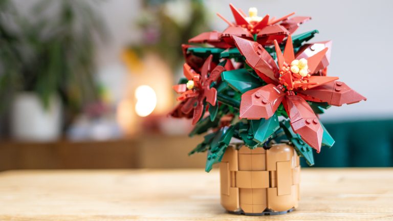 LEGO Botanical Collection 10370 Poinsettia review
