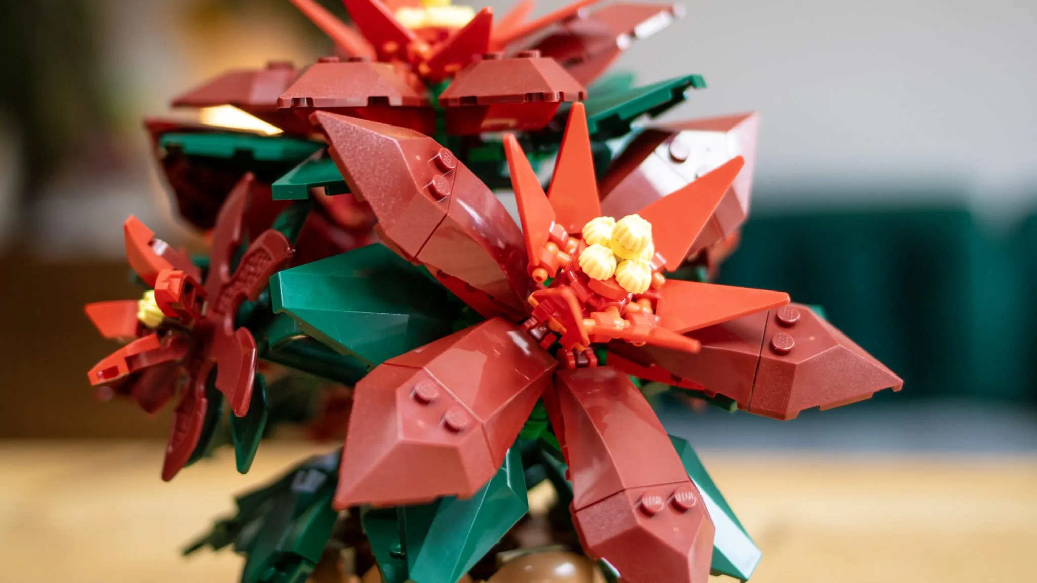 LEGO Botanical Collection 10370 Poinsettia review