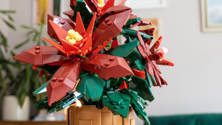 LEGO Botanical Collection 10370 Poinsettia review