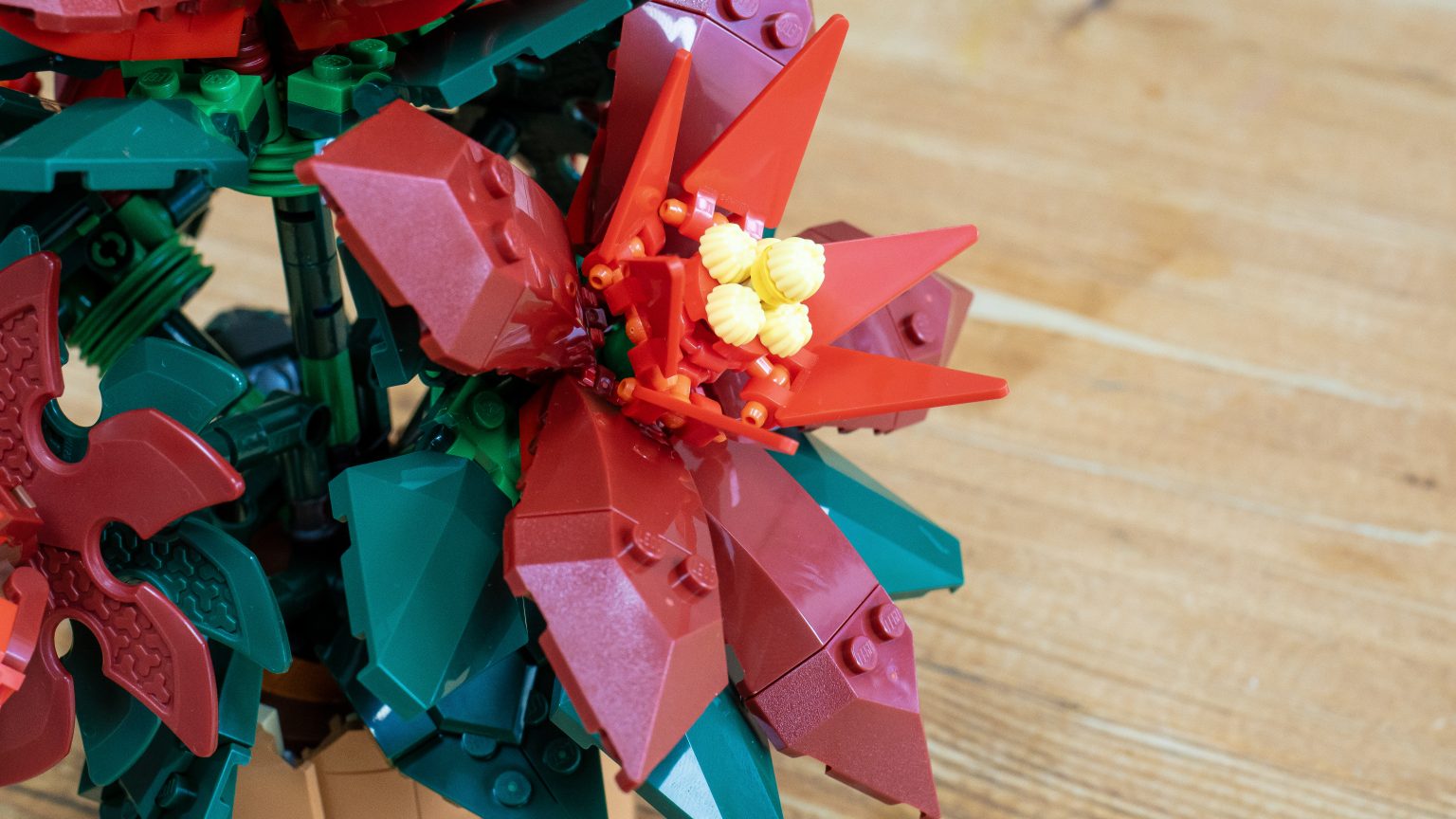 LEGO Botanical Collection 10370 Poinsettia review