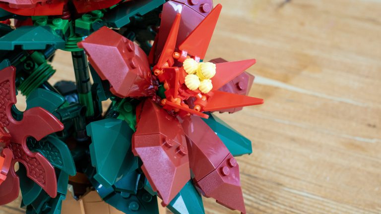 LEGO Botanical Collection 10370 Poinsettia review
