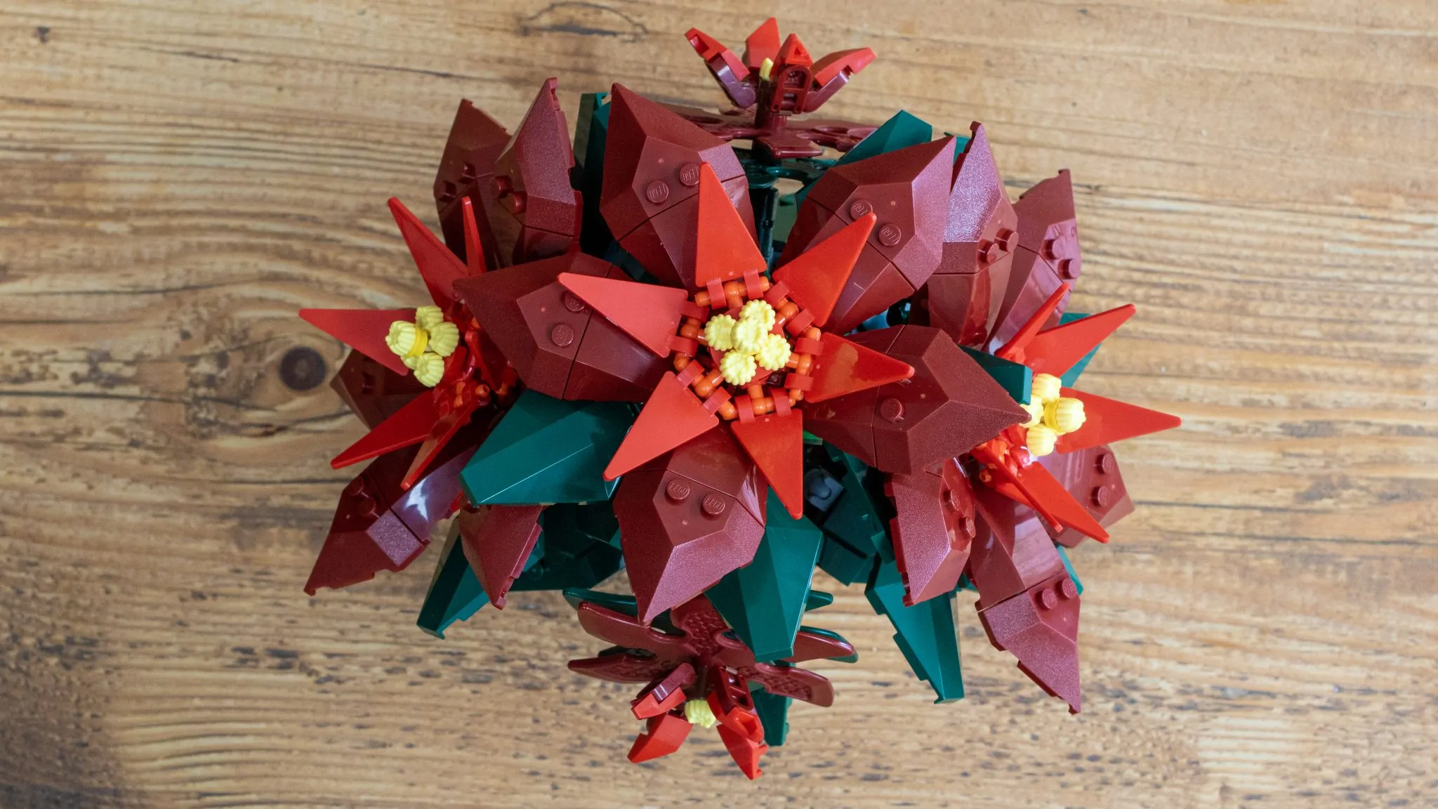 LEGO Botanical Collection 10370 Poinsettia review