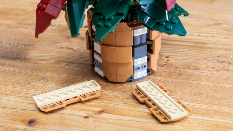 LEGO Botanical Collection 10370 Poinsettia review