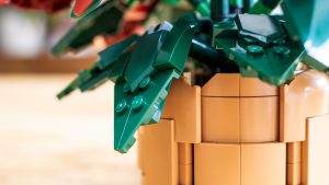 LEGO Botanical Collection 10370 Poinsettia review