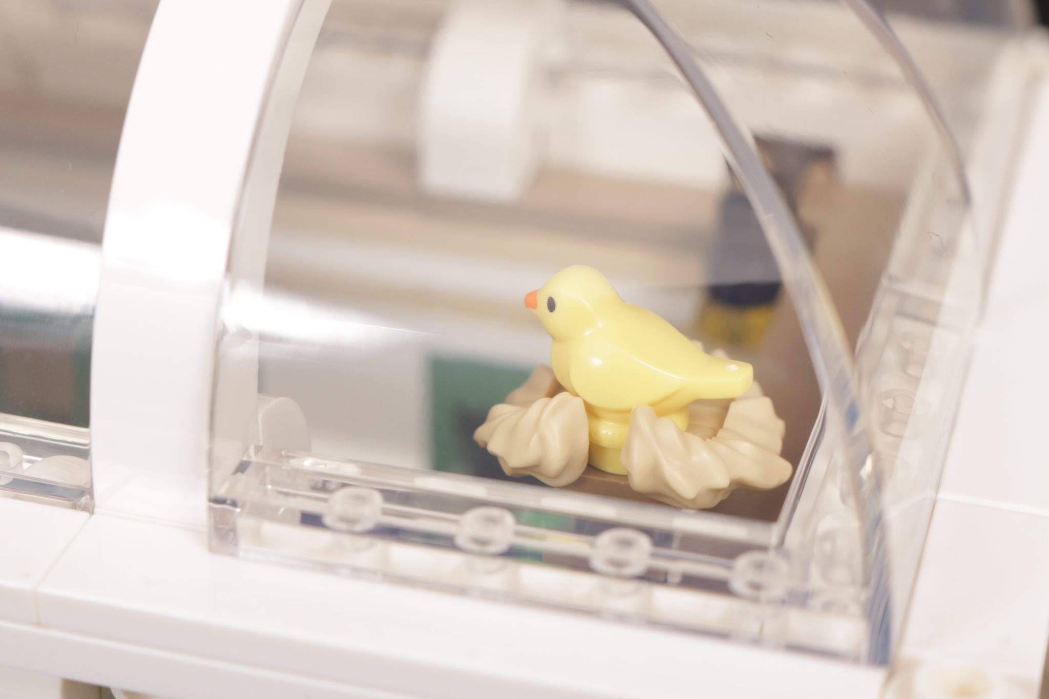 LEGO Ideas 21353 The Botanical Garden review