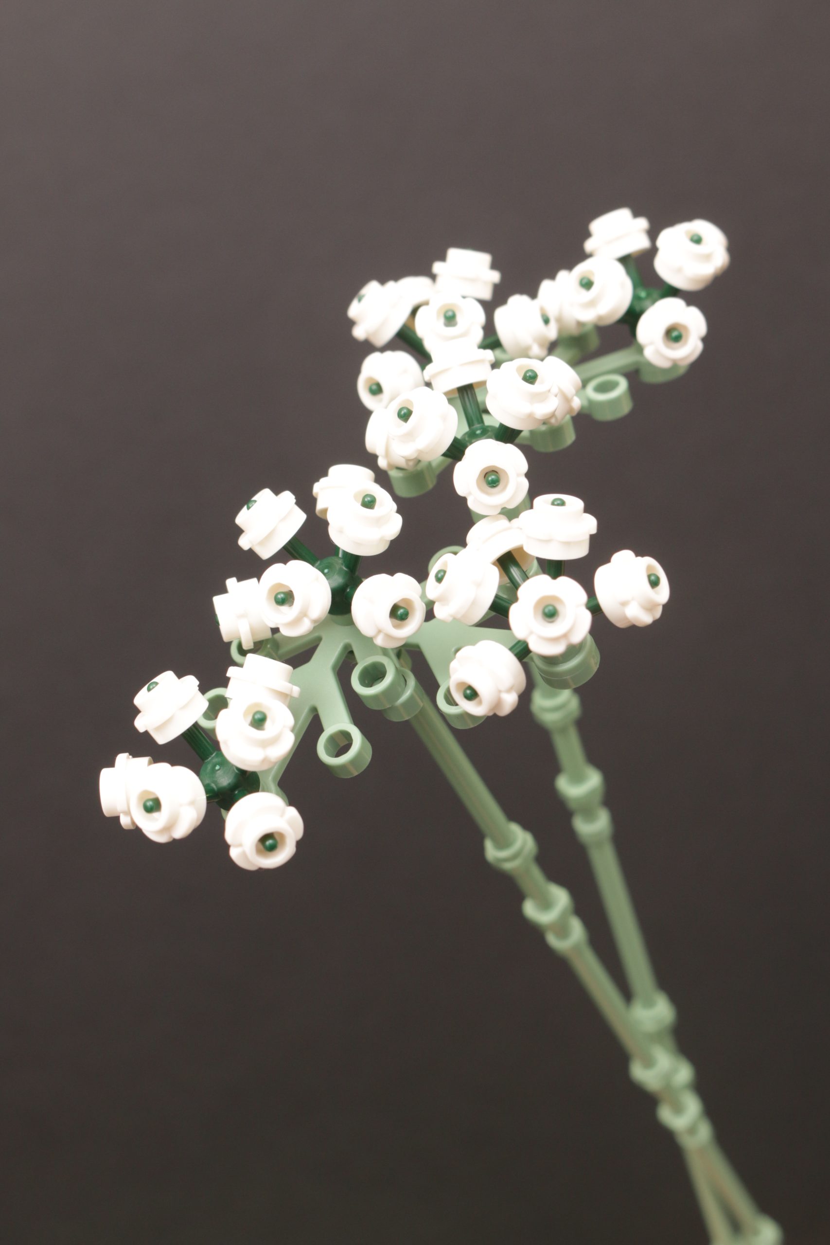 LEGO Botanicals 10328 Bouquet of Roses review